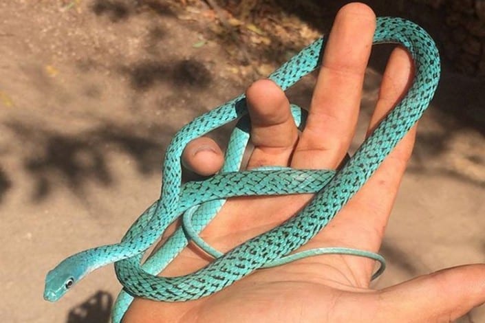 Tomuru Villa located in Watamu - East African Retreats