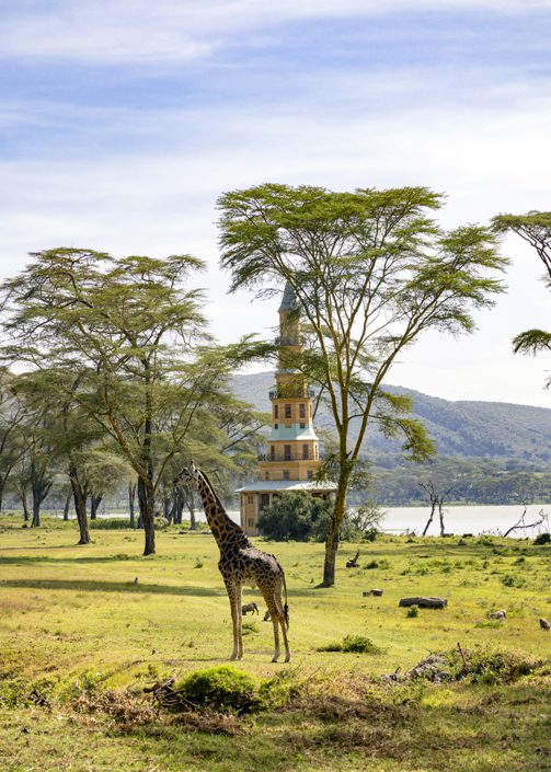 Hippo Point Manor House located in Lake Oloiden in Naivasha - East Africa